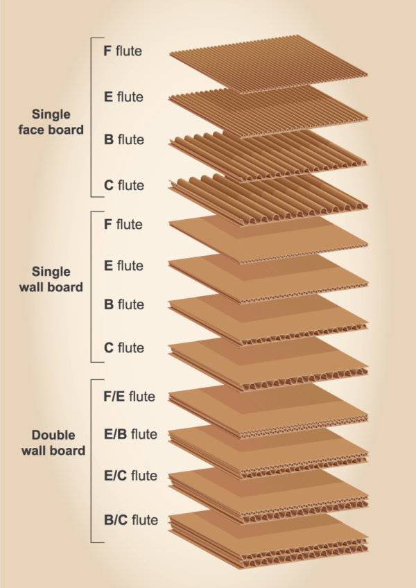 Corrugated Production Line - Sadek Group