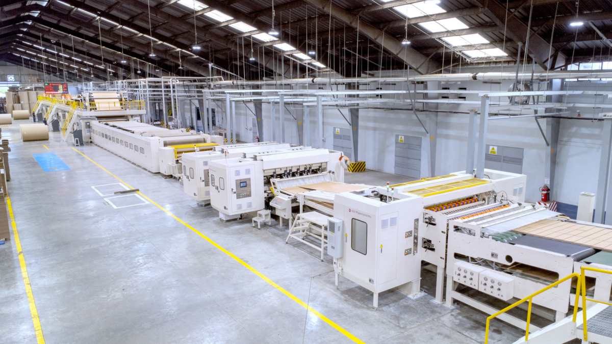 Corrugated Production Line - Sadek Group