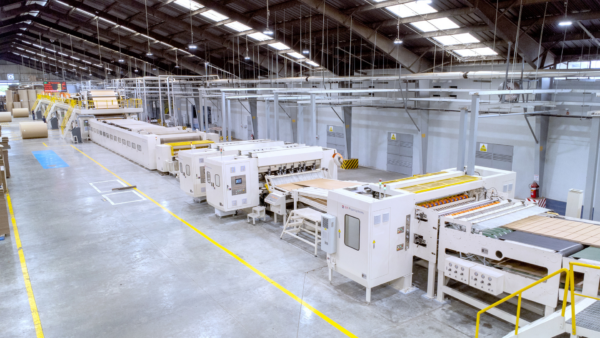 Corrugated Production Line - Sadek Group